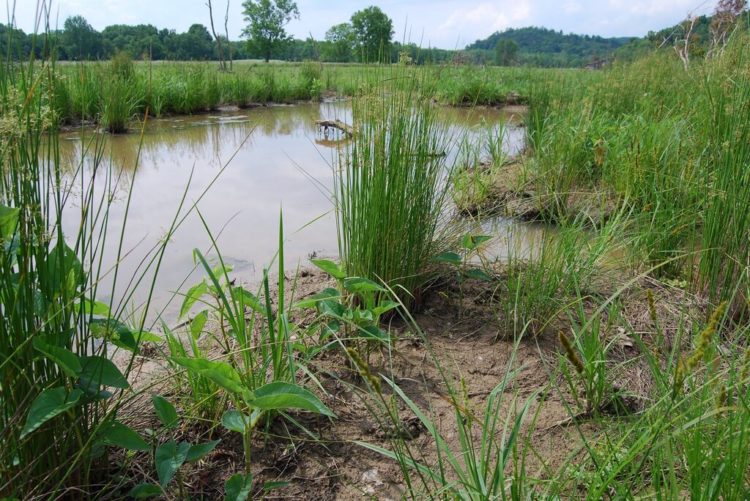 IUCMA Projects – IUCMA